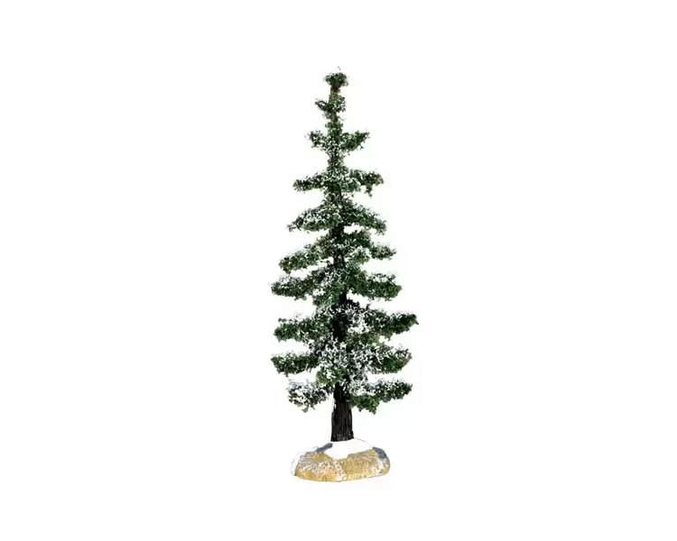 Blue Spruce Tree Small - Tuincentrum Outlet