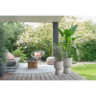 Elho Pure Coupe 35 Balanced Beige Bloempot Pot - Tuincentrum Outlet