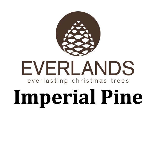 Everlands Imperial Pine outlet | Tuincentrumoutlet.com - Tuincentrum Outlet