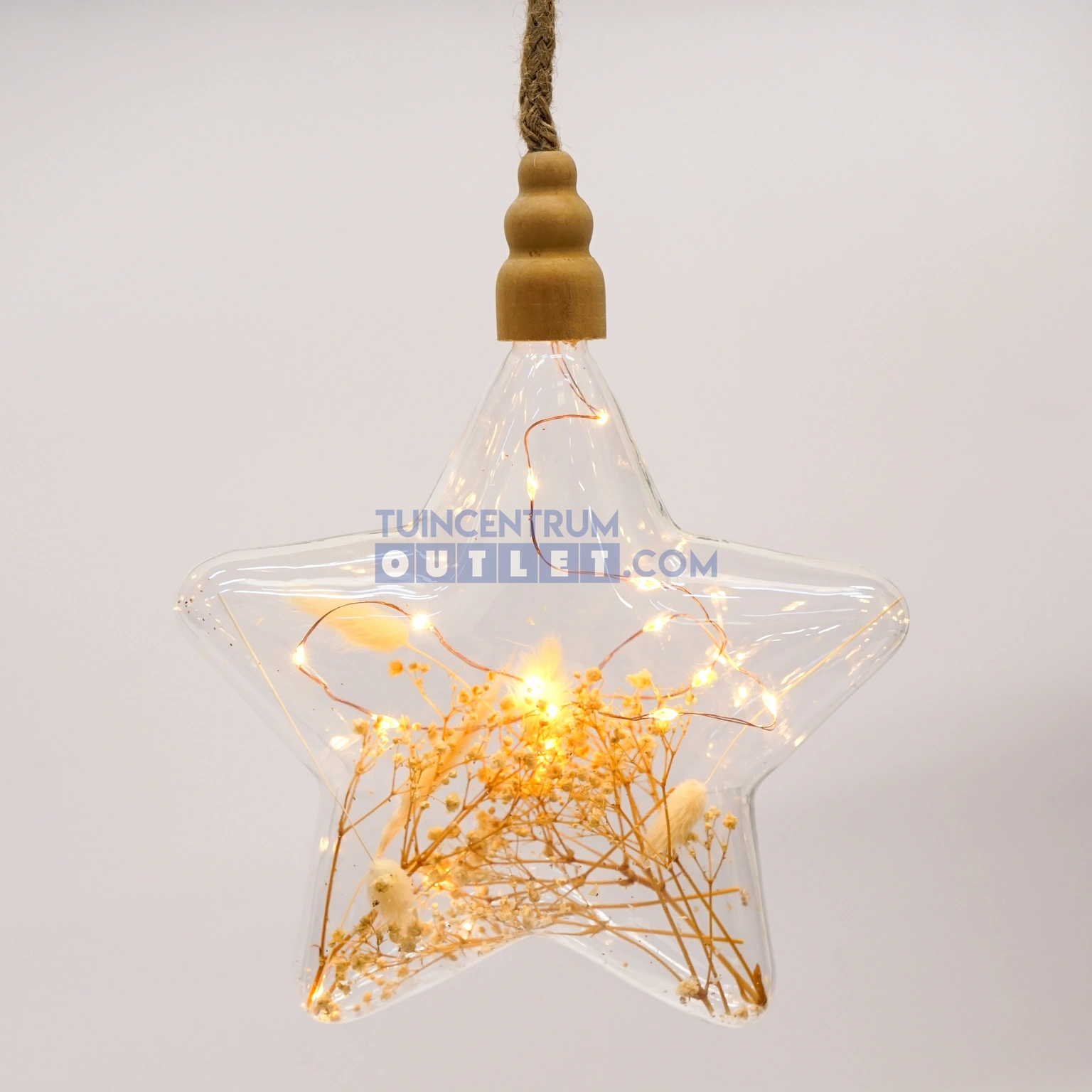 Micro ster d20h80cm-15l transparant - Tuincentrum Outlet