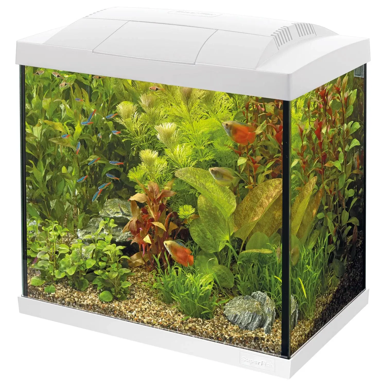 Start 30 tropical kit wit - Tuincentrum Outlet